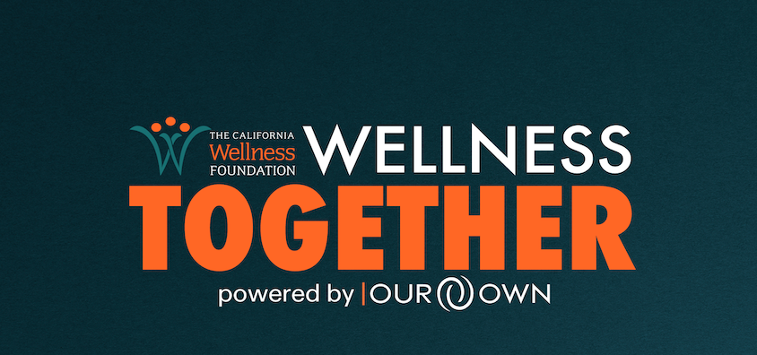 Wellness Together: Building Resilience in California’s Nonprofit Community - The California ...